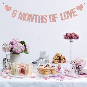 6 Months of Love Banner, Half Way to One Banner, Happy 6 Month, Half Birthday Decorations, 1/2 Birthday Baby Shower Party, First Birthday Party Supplies Rose Gold Glitter