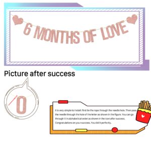 6 Months of Love Banner, Half Way to One Banner, Happy 6 Month, Half Birthday Decorations, 1/2 Birthday Baby Shower Party, First Birthday Party Supplies Rose Gold Glitter