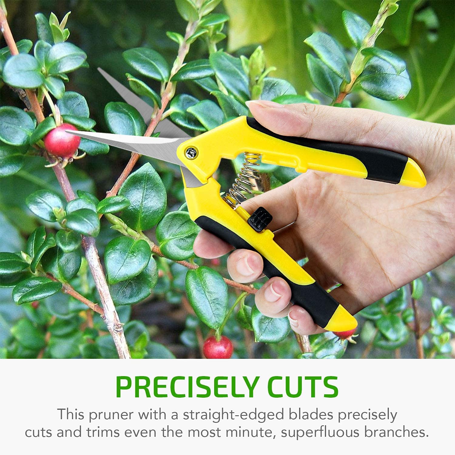 iPower 6.5 Inch Gardening Scissors Hand Pruner Pruning Shear with Straight Stainless Steel Blades, Yellow, 2-Pack