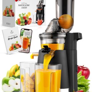 Zulay Fruit Press Machine - Masticating Juicer Machine with High Yield, Quiet Motor, & Reverse Function - Cold Press & Carrot Juicer with Wide Chute - Slow Juicer Machines for Fruits & Vegetables