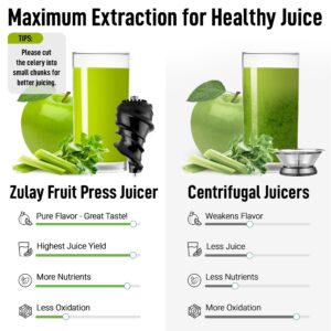 Zulay Fruit Press Machine - Masticating Juicer Machine with High Yield, Quiet Motor, & Reverse Function - Cold Press & Carrot Juicer with Wide Chute - Slow Juicer Machines for Fruits & Vegetables