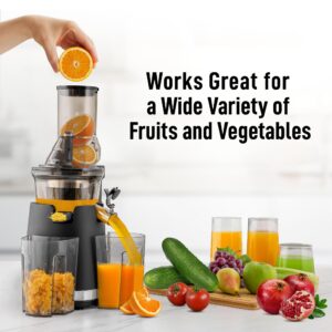 Zulay Fruit Press Machine - Masticating Juicer Machine with High Yield, Quiet Motor, & Reverse Function - Cold Press & Carrot Juicer with Wide Chute - Slow Juicer Machines for Fruits & Vegetables