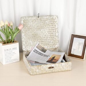 Hipiwe Seagrass Storage Bins with Lid Large Wicker Basket Box for Shelf Organizing Flat Woven Shelf Basket Bin Home Decorative Baskets for Closet Bedroom, Whitewash