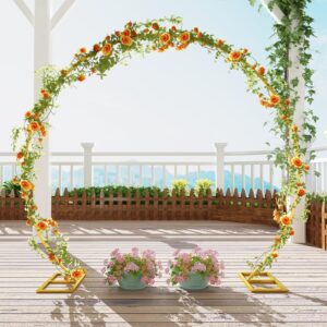 TDDFLO 9.5ft Golden Round Backdrop Stand Circle Balloon Arch Kit for Party Decoration Circle Wedding Arch Flower Ring Stand