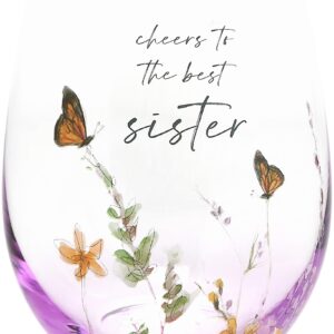 Pavilion - Sister 20 ounce Stemless Wine Glass, Modern Rainbow Wine Glass, Sister Gifts, Great Wine Glass Gifts For Sister, Women, Sisters Gifts From Sisters, 1 Count, Multicolor