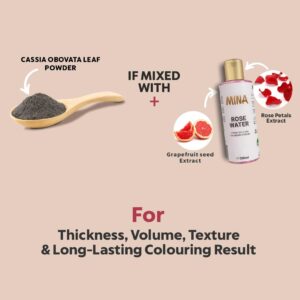 MinaiBrow Instant Hair Dye Kit Dark Brown | Natural Spot Coloring Tinting Powder with Duo Angled Brush, Water & Smudge Proof | 100% Grey Coverage Upto 30 Applications