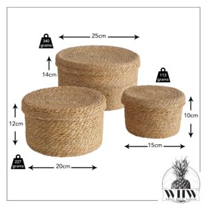 Seagrass Basket Boxes with Lids, Set of 3, Circular, Coiled Wicker Weave, Natural Seagrass, Made by Hand, 6, 7.75, and 9.75 Inches in Diameter