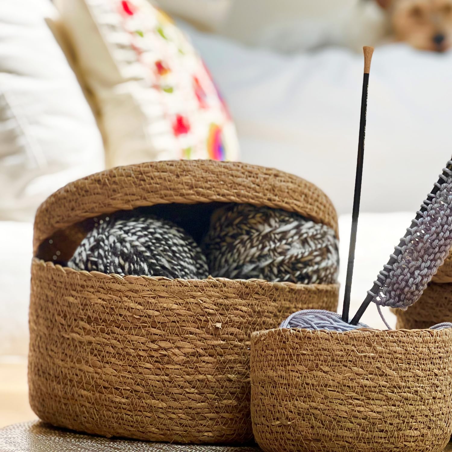 Seagrass Basket Boxes with Lids, Set of 3, Circular, Coiled Wicker Weave, Natural Seagrass, Made by Hand, 6, 7.75, and 9.75 Inches in Diameter