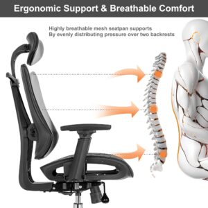 BV Ergonomic Dual Backrests Office Chair, Lumbar Support Office Desk Chair Back Support, Breathable mesh Office Chair 3D Adjustable Armrest(5008 Black)