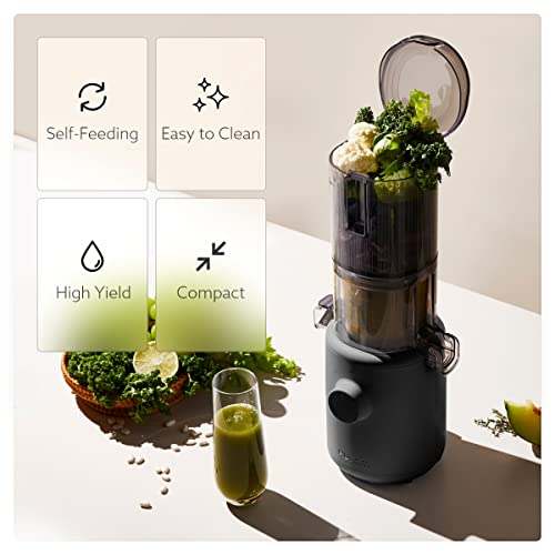 Hurom H310A Renewed Personal, Self Feeding Slow Masticating Juicer - Charcoal Gray | Easy-Clean, Max Yield, Quiet Motor - Hopper Fits Whole Produce - BPA Free