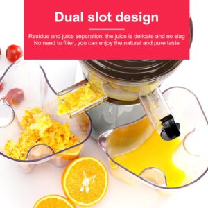 OverTwice Cold Press Juicer Machines, 5 Inch(127mm) Slow Masticating Juicer with Large Feed Chute, 250W Electric Juicer Machines Vegetable and Fruit (Stainless steel body)