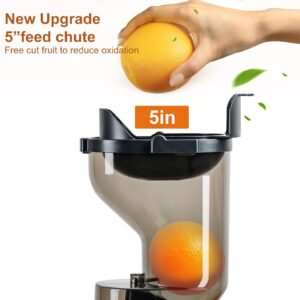 OverTwice Cold Press Juicer Machines, 5 Inch(127mm) Slow Masticating Juicer with Large Feed Chute, 250W Electric Juicer Machines Vegetable and Fruit (Stainless steel body)