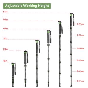 Manbily Carbon Fiber Camera Monopod,61 inch Portable Compact Lightweight Travel Monopod Walking Stick,Monopod for DSLR Camera Canon Nikon Sony Video (Carbon Fiber, Green&Black)