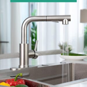 Bar Sink Faucet Brushed Nickel with Pull Out Sprayer, DAYONE Modern Stainless Steel Kitchen Faucets, Utility Single Hole/Handle Mini Bar Faucet Tap for RV