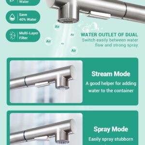 Bar Sink Faucet Brushed Nickel with Pull Out Sprayer, DAYONE Modern Stainless Steel Kitchen Faucets, Utility Single Hole/Handle Mini Bar Faucet Tap for RV