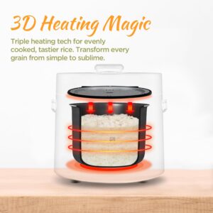 MOOSUM Multi Mini Rice Cooker 2-cups Uncooked (1.2L), Portable Small Japanese Travel Rice Cooker with Non-Stick Inner Pot, Slow Cooker, Easy Presets,24 Hours Timer Delay & Keep Warm Function, Black