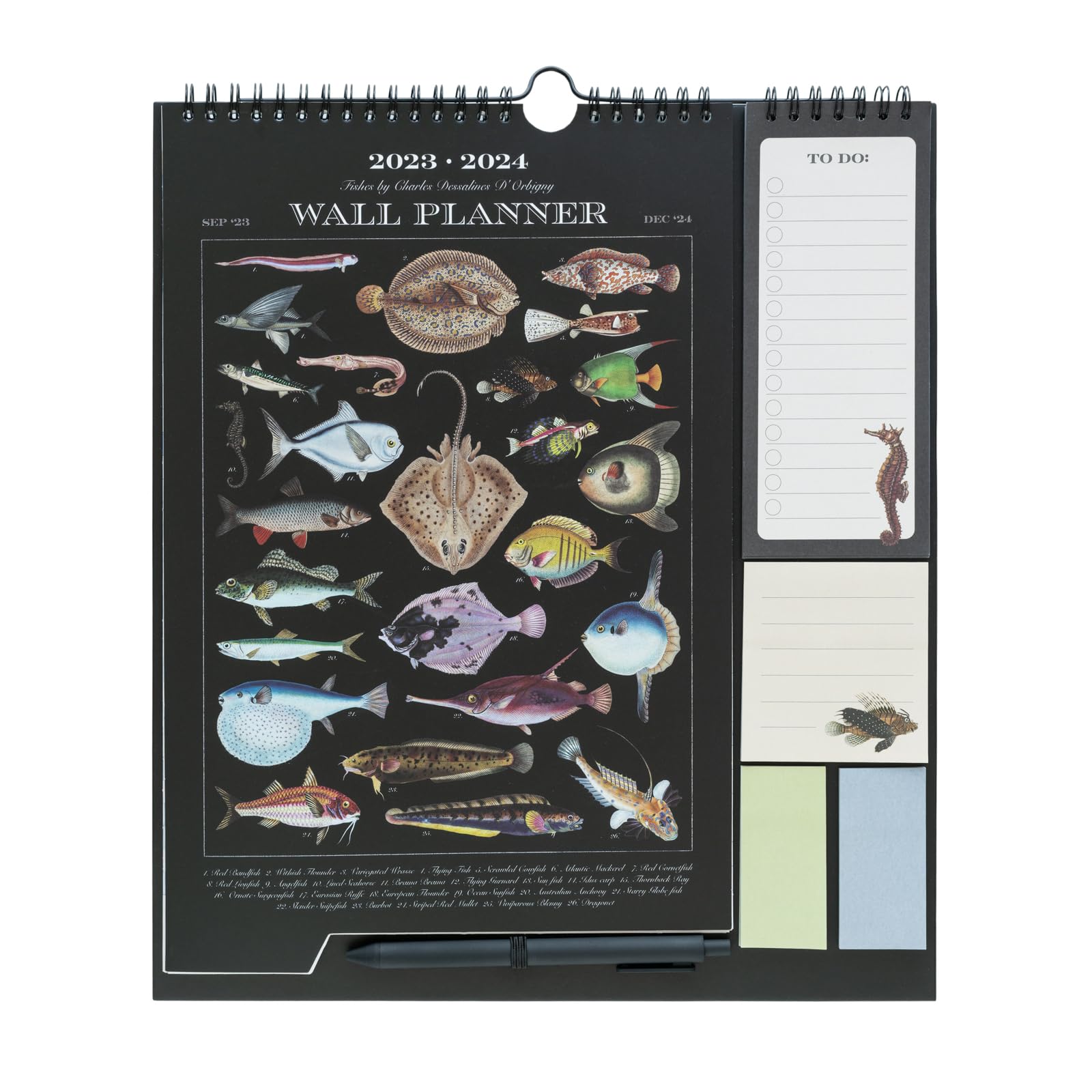 Grupo Erik Fishes By Charles Dessalines Wall Calendar 2024 | Monthly Planner 16 Months Sep 2023 - Dec 2024 | 11.8 x 13.4 inches / 30 x 34 cm | Cute Stationery | With Stickers/Pen/Shopping List