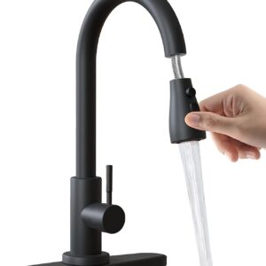 Kitchen Faucets with Pull Down Sprayer-Kitchen Sink faucets-Single Level Stainless Steel-Matte Black