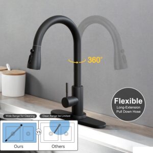 Kitchen Faucets with Pull Down Sprayer-Kitchen Sink faucets-Single Level Stainless Steel-Matte Black