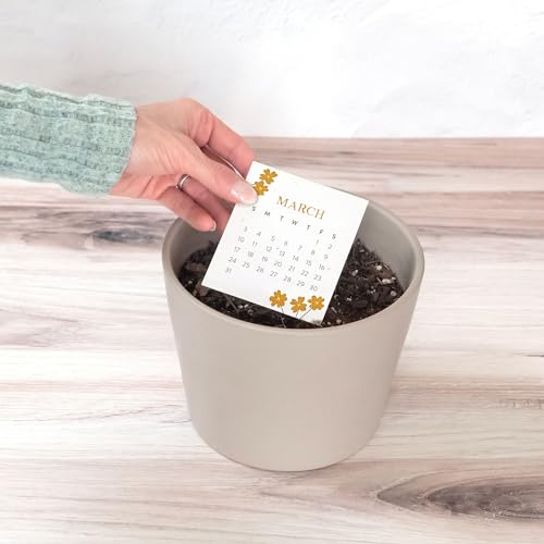 2024 Wall Calendar, Bella Flora Pockets Plus Wall Calendar, 12-Month Calendar, Spiral Desk Calendar Monthly Pocket, by Studio Oh! - Bella Flora (Floral Calendar)