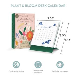 2024 Wall Calendar, Bella Flora Pockets Plus Wall Calendar, 12-Month Calendar, Spiral Desk Calendar Monthly Pocket, by Studio Oh! - Bella Flora (Floral Calendar)