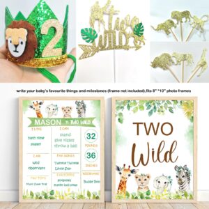 YSHMFEUX Two Wild Birthday Decorations Party Supplies, Jungle Theme 2nd Birthday Party Supplies, Jungle Safari Animal 2nd Birthday Decorations, Second Birthday Decorations for 2 Years Old Birthday