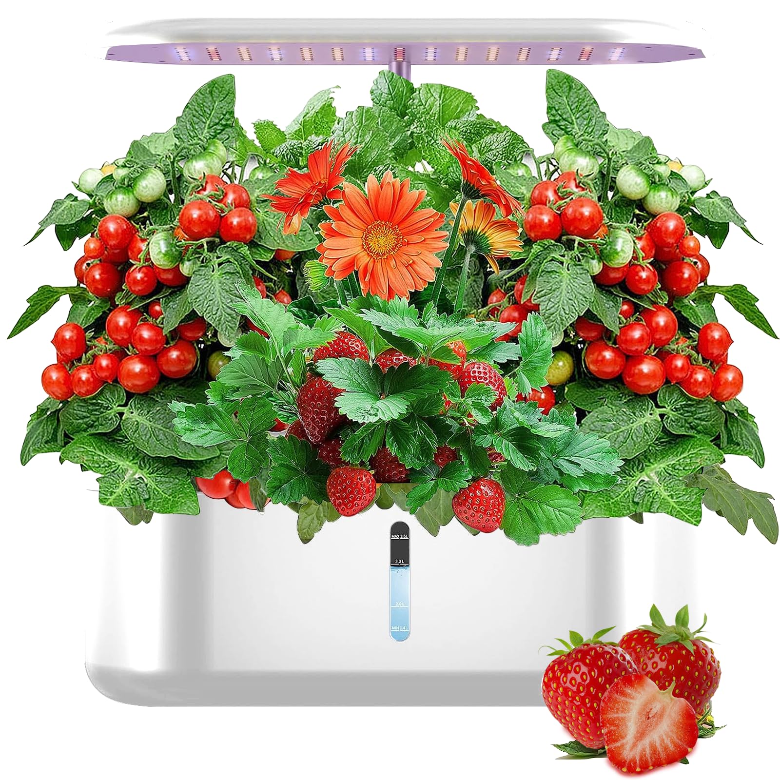 Watch-it-Grow 10 pods Hydroponics Growing System with Herb Germination Kits FCC CE ROHS Certified, 24W Full Spectrum Grow Lights Indoor Garden, Installation Free Educational Science Kit for Teens