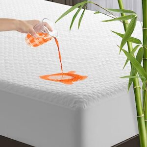 RISAR Queen Size Bed Waterproof Mattress Protector - Cooling Water Proof Mattress Cover for Kids, Breathable Mattress Pad Cover Washable, Wetting, 8''-21'' Extra Deep Pocket