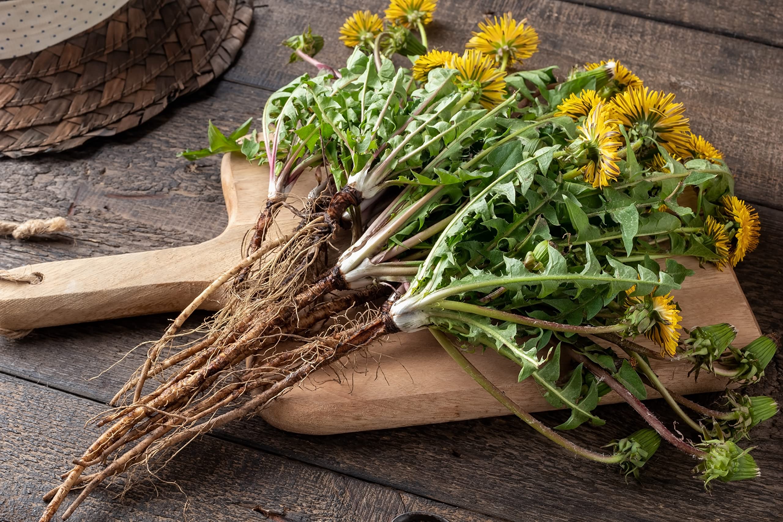 Dandelion Root Tea 1LB (16Oz) | 100% Certified Organic | Loose Dandelion Root Tea (200+ Cups) Cut and Sifted| 100% Raw Albanian Harvest | by U.S. Wellness Naturals