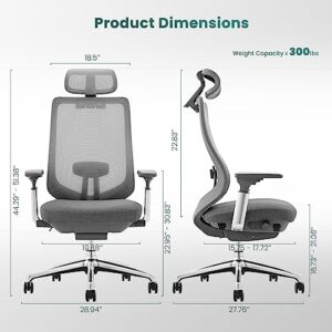 Ergonomic Mesh Office Chair, High Back Computer Executive Desk Chair with Adjustable Headrest and 4D Arms, Slide Seat, Tilt Lock-Dark Grey