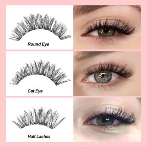 Lash Clusters 200 Pcs DIY Individual Lashes Natural Look Wispy Eyelash Extension 9-16MM D Curl Individuals Cluster Lashes Fluffy Lash Extensions Resuable DIY at Home by TNFVLONEINS-(40D)