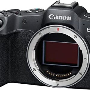 Canon EOS R8 Mirrorless Camera (Body Only) Enhanced with Professional Accessory Bundle - Includes 14 Items