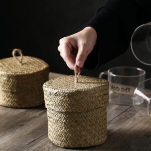 QmjdDymx Small Seagrass Storage Baskets with Lid Straw Round Storage Box with Handle Wicker Basket Home Organization for Snack, Keys Desktop Decor