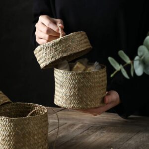 QmjdDymx Small Seagrass Storage Baskets with Lid Straw Round Storage Box with Handle Wicker Basket Home Organization for Snack, Keys Desktop Decor