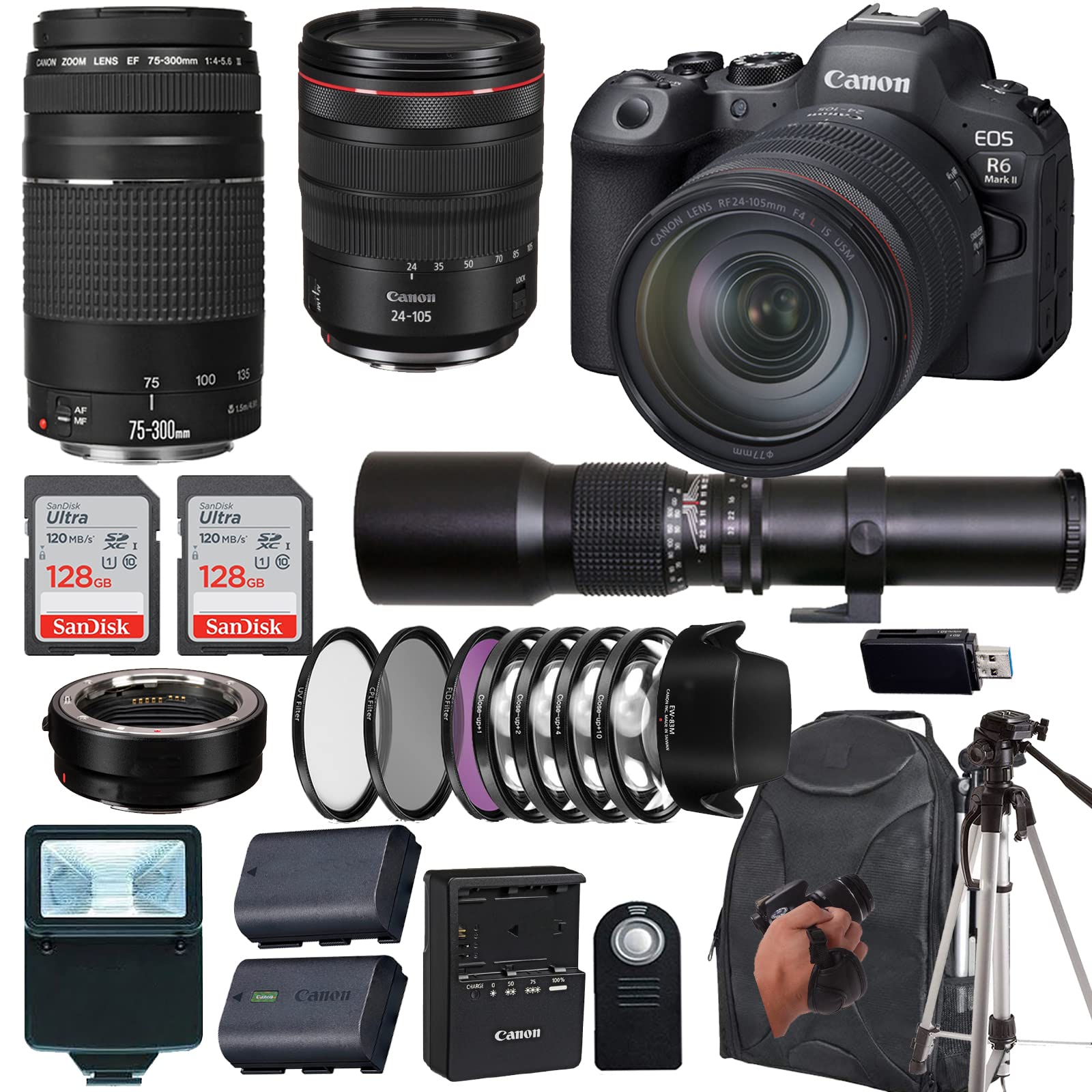 Canon EOS R6 Mark II Mirrorless Camera with RF 24-105mm f/4 L is USM Lens+ Canon EF 75-300mm III Lens+500mm f/8 Preset Telephoto Lens+case+256Memory Cards (24PC)