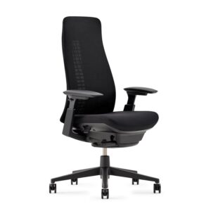 haworth fern office chair – ergonomic and stylish desk chair with breathable mesh finish - with lumbar support (coal)