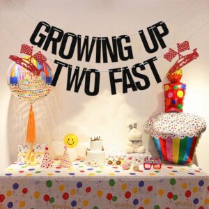 Growing Up Two Fast Banner, Happy 2nd Birthday Decorations, Race Car Theme Party Decors, Racing Party Second Birthday Party Supplies Black Red Glitter