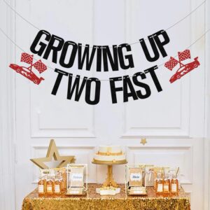 Growing Up Two Fast Banner, Happy 2nd Birthday Decorations, Race Car Theme Party Decors, Racing Party Second Birthday Party Supplies Black Red Glitter