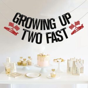 Growing Up Two Fast Banner, Happy 2nd Birthday Decorations, Race Car Theme Party Decors, Racing Party Second Birthday Party Supplies Black Red Glitter