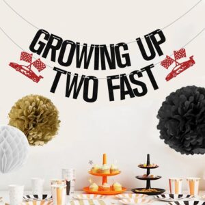 Growing Up Two Fast Banner, Happy 2nd Birthday Decorations, Race Car Theme Party Decors, Racing Party Second Birthday Party Supplies Black Red Glitter