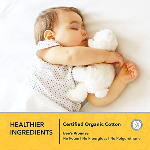 Nature Bee Organic's Breathable 2-Stage Mini Crib & Toddler Mattress I 100% Breathable I GreenGuard Gold Certified I 100% Hypoallergenic