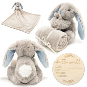 Loveys for Babies Security Blanket for Boys Girls Newborn Infant Essentials - Large Stuffed Super Soft Bunny Animal Snuggle Plush Toddler Soothing Toy with Milestone Card Gift (Blue/Brown)