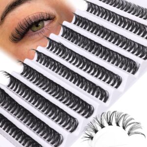 Cluster Lashes Wispy Natural Look Individual Lashes 200pcs D Curl DIY Cluster Eyelash Extension 9-16mm Mixed Tray 3D Volume Faux Mink Cluster Lashes by ZANLUFLY