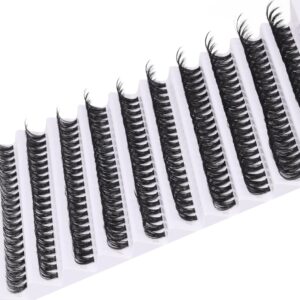 Cluster Lashes Wispy Natural Look Individual Lashes 200pcs D Curl DIY Cluster Eyelash Extension 9-16mm Mixed Tray 3D Volume Faux Mink Cluster Lashes by ZANLUFLY