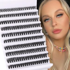 Cluster Lashes Wispy Natural Look Individual Lashes 200pcs D Curl DIY Cluster Eyelash Extension 9-16mm Mixed Tray 3D Volume Faux Mink Cluster Lashes by ZANLUFLY