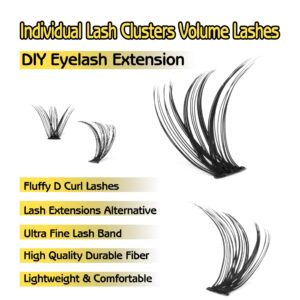 Cluster Lashes Wispy Natural Look Individual Lashes 200pcs D Curl DIY Cluster Eyelash Extension 9-16mm Mixed Tray 3D Volume Faux Mink Cluster Lashes by ZANLUFLY