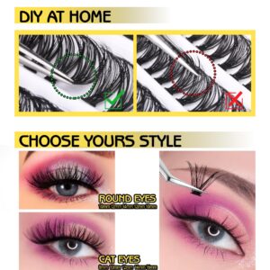 Cluster Lashes Wispy Natural Look Individual Lashes 200pcs D Curl DIY Cluster Eyelash Extension 9-16mm Mixed Tray 3D Volume Faux Mink Cluster Lashes by ZANLUFLY