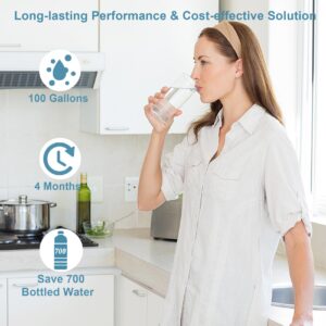 LOTVOSA Water Filter Replacement for Brita Faucet Filter - Compatible with Brita 36311 On Tap Faucet Filters System for Sink, FR-200, FF-100 - Pack of 3 - Fits All Brita Tap Water Filters, LTF-003S