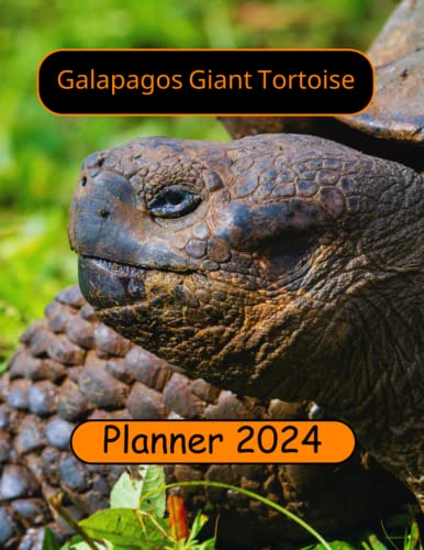 Galapagos Giant Tortoise Planner 2024