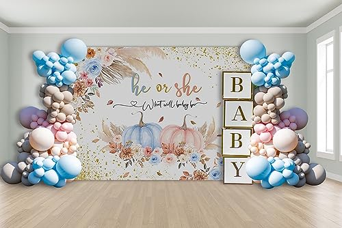 Mocsicka Pumpkin Gender Reveal Backdrop Autumn Fall Pumpkin Baby Shower Party Decorations Boy or Girl Thanksgiving Pumpkin Gender Reveal Party Cake Table Banner (Blue/Pink, 7x5ft(82''x60''))